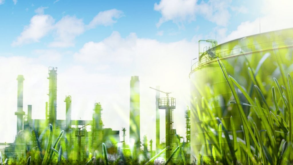 Sustainable Bioeconomy Development Conference Vdu
