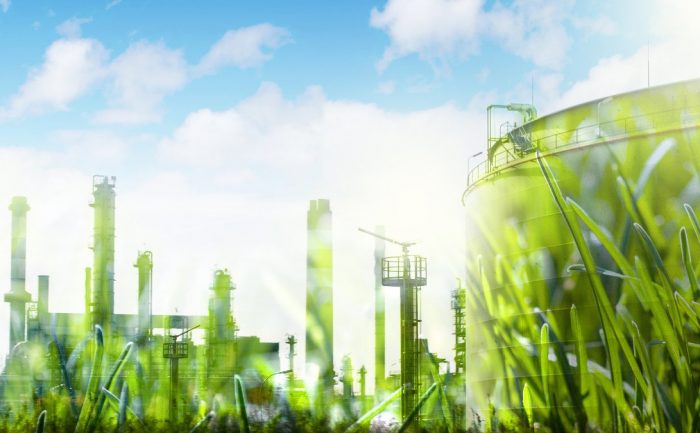 Sustainable Bioeconomy Development Conference Vdu