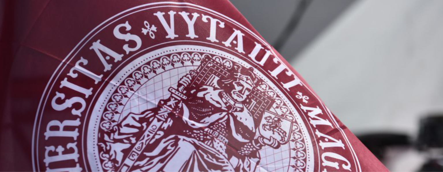 VMU promotional materials | VDU