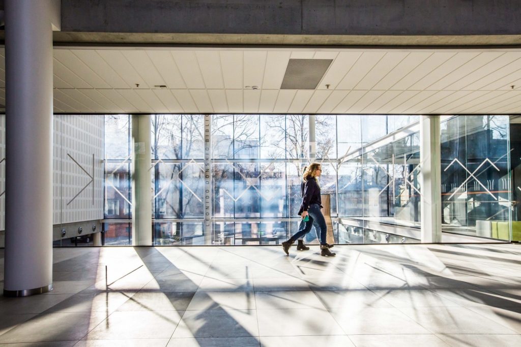 VDU - Vytauto Didžiojo universitetas