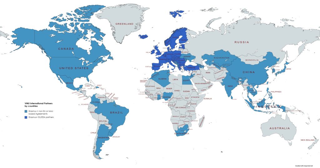 International partnerships | VDU