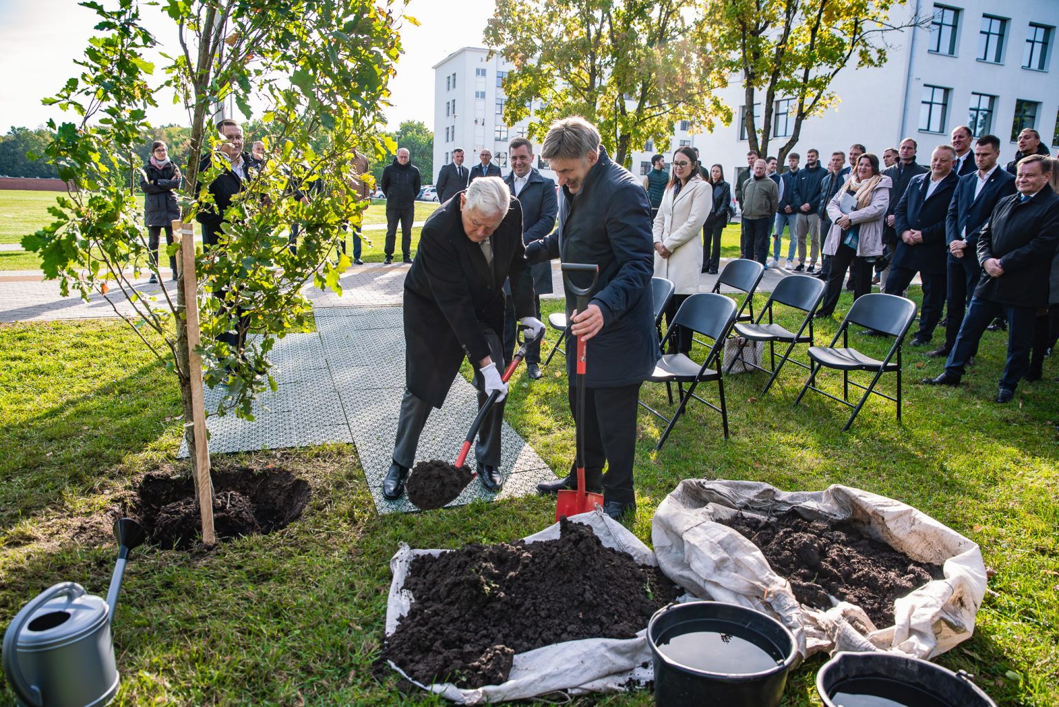 VDU - Vytauto Didžiojo universitetas