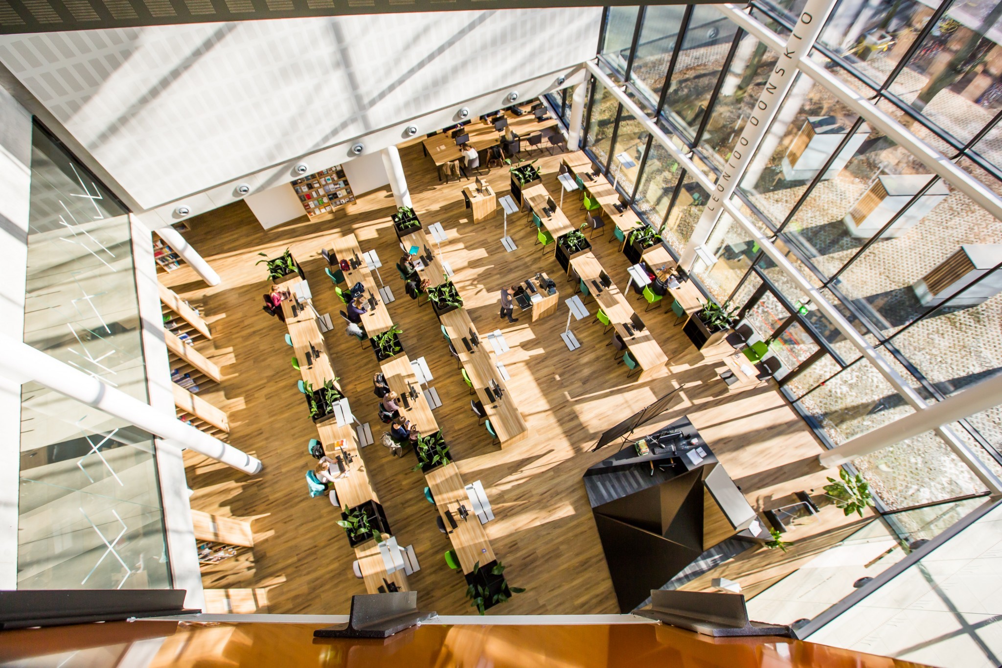 VDU - Vytauto Didžiojo universitetas