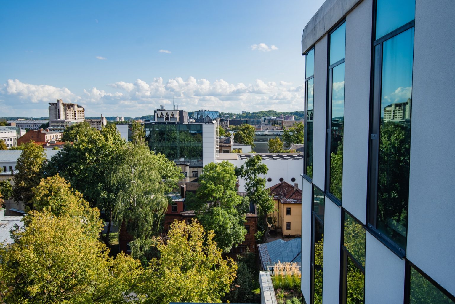 VDU - Vytauto Didžiojo universitetas