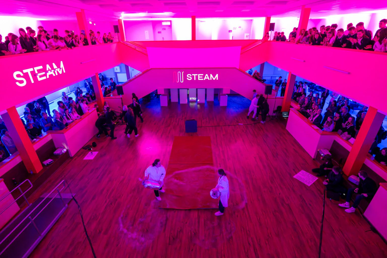 VDU - Vytauto Didžiojo universitetas